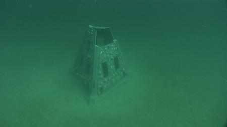 Survey Table View | MBARA